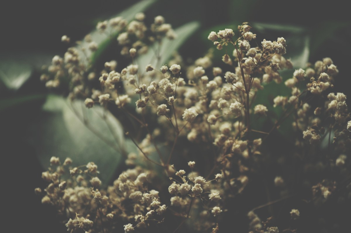 The Land of Familiarity – Sweet Dependence